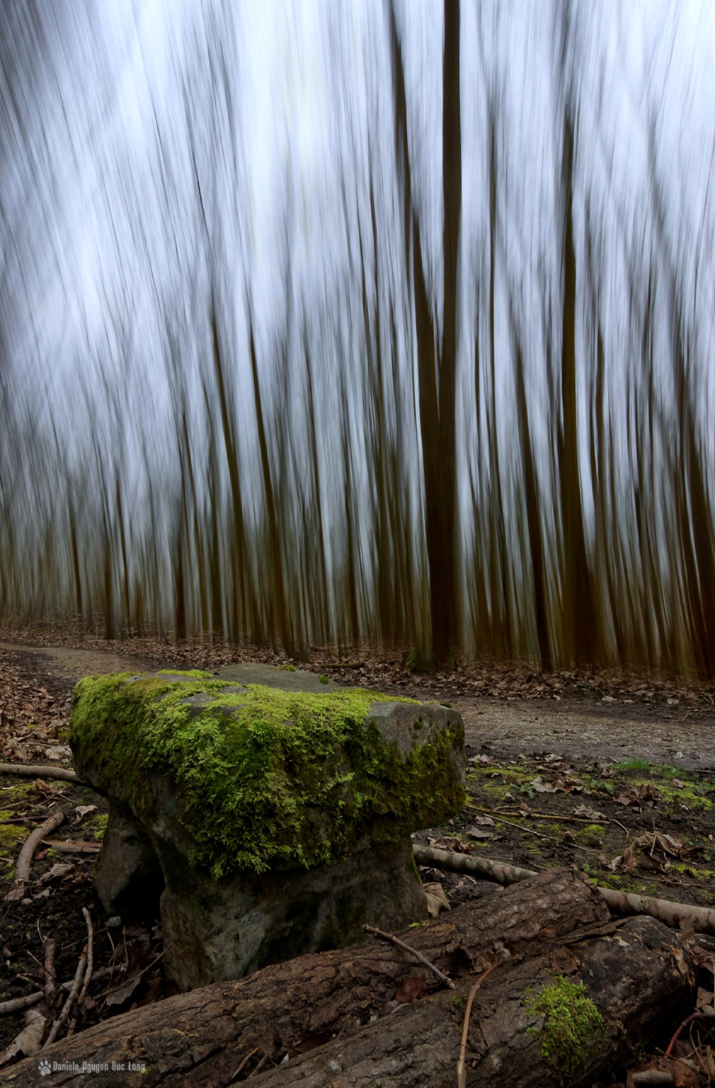 Flou directionnel au marais de Fontenay-le-Vicomte | La Tribu d ...