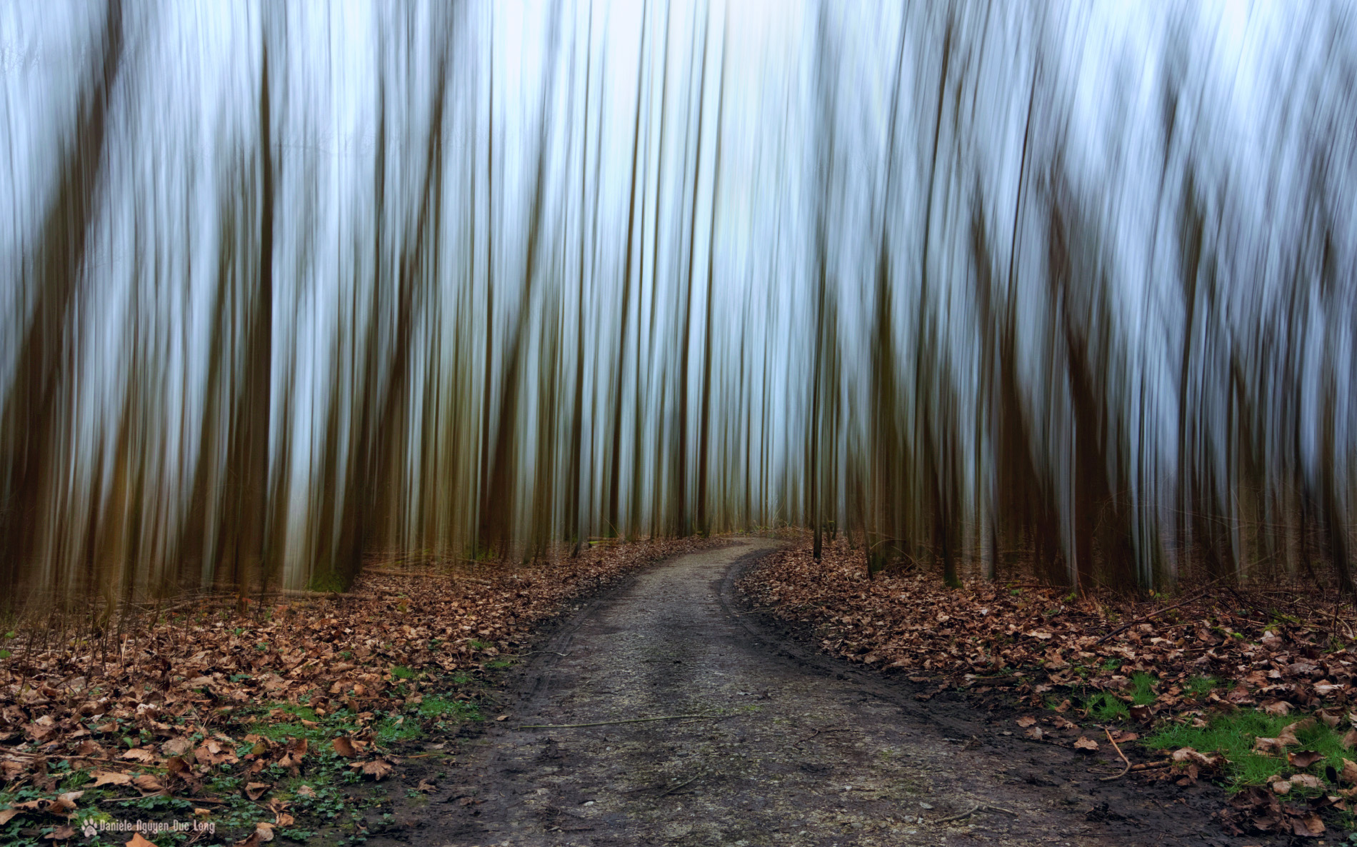 Flou directionnel au marais de Fontenay-le-Vicomte | La Tribu d ...